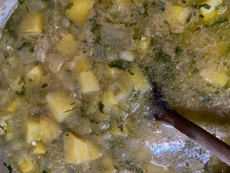 Potato, Onion, Celery and Cilantro Soup Ready for Blending Stock Photo ...