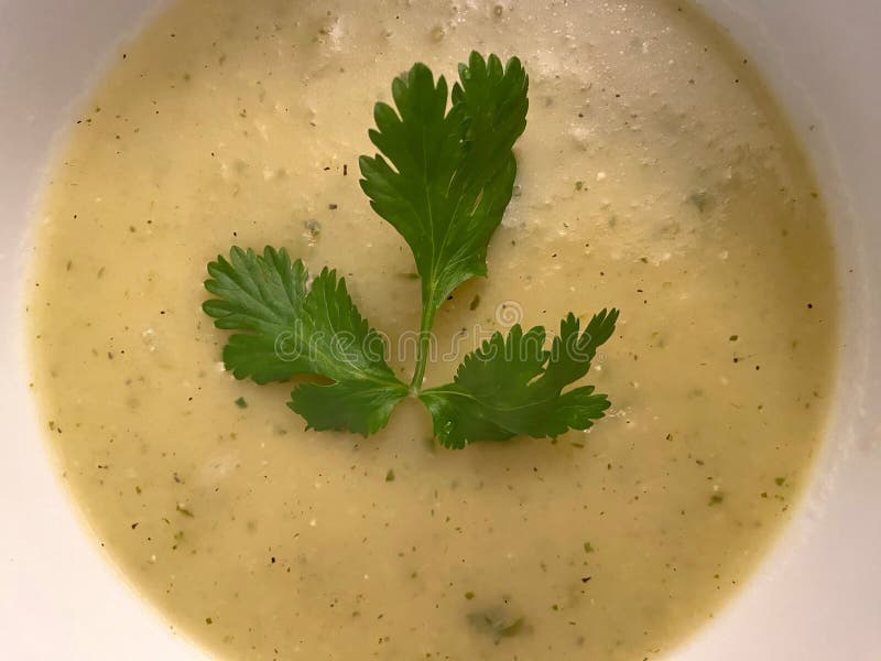 Potato, Onion, Celery and Cilantro Soup Stock Image - Image of bowl ...