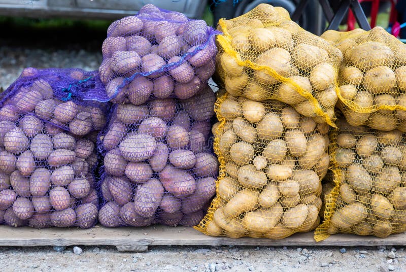 Potato packed in mesh bag stock photo. Image of ingredient - 332621400