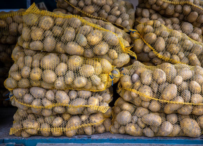 Potato packed in mesh bag stock photo. Image of mesh - 332621402
