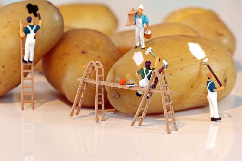 Potato painters stock image. Image of ladders, work, color - 61893701