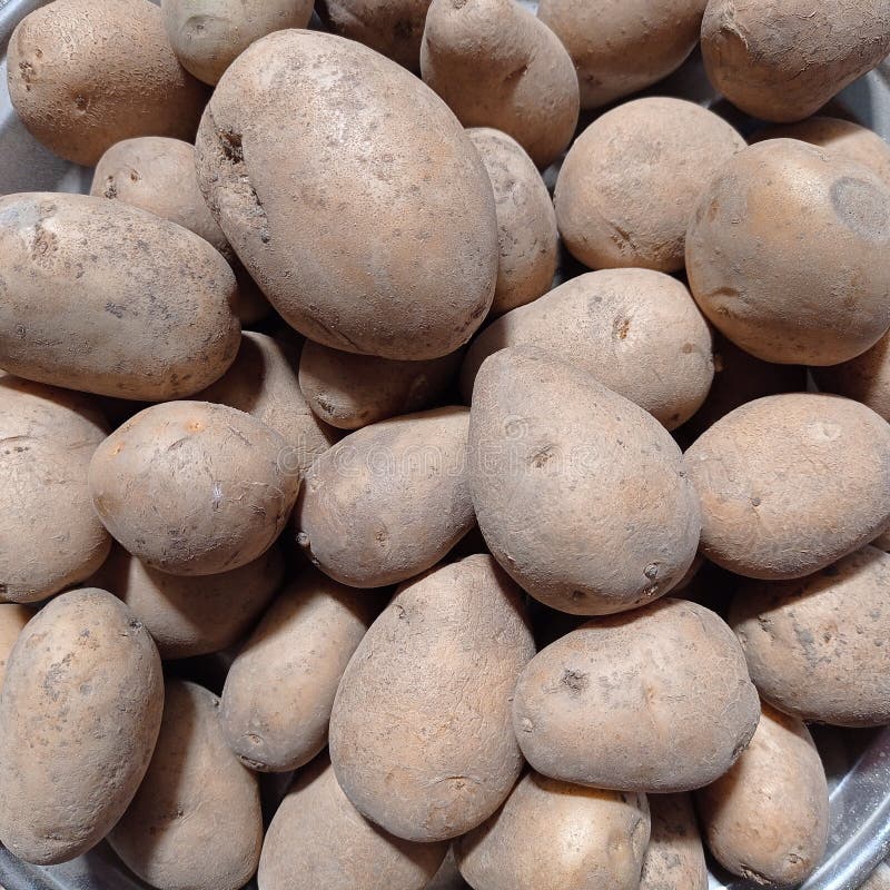 Potato Pile at Market Image Stock Photo - Image of pile, food: 219922538