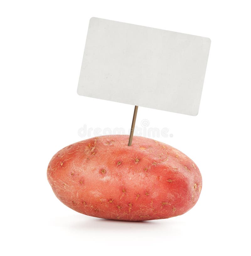 Potato with Price Tag Isolated Stock Image - Image of diet, copy: 69040865