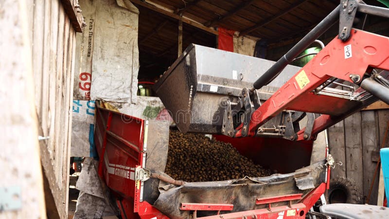 Potato Production at a Private Enterprise, Potato Sorting Workflow , 4k ...