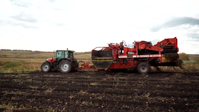 Potato Production at a Private Enterprise, Potato Sorting Workflow , 4k ...