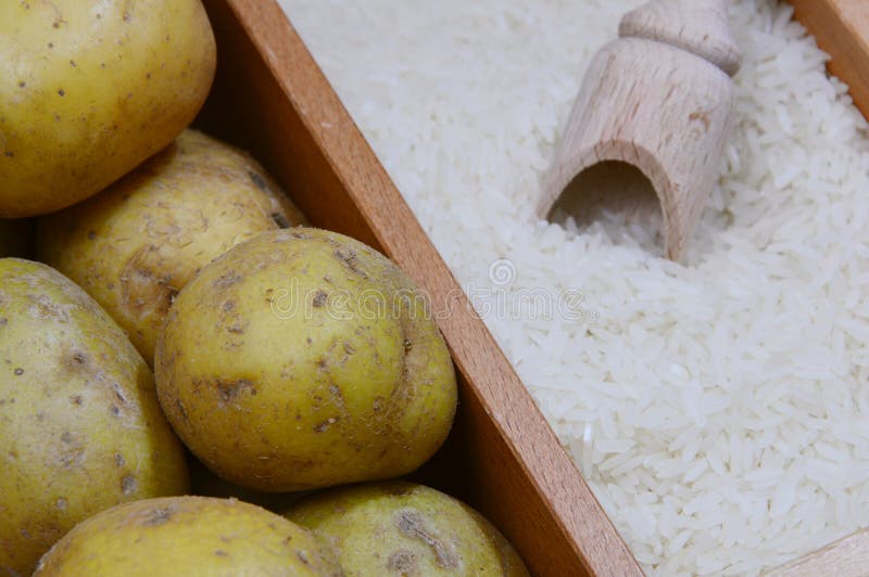 Potato and rice stock photo. Image of rice, crop, europe - 85920024