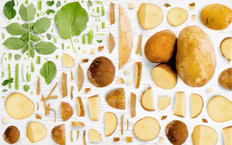 Potato Slice and Leaf Collection Stock Photo - Image of natural, brown ...