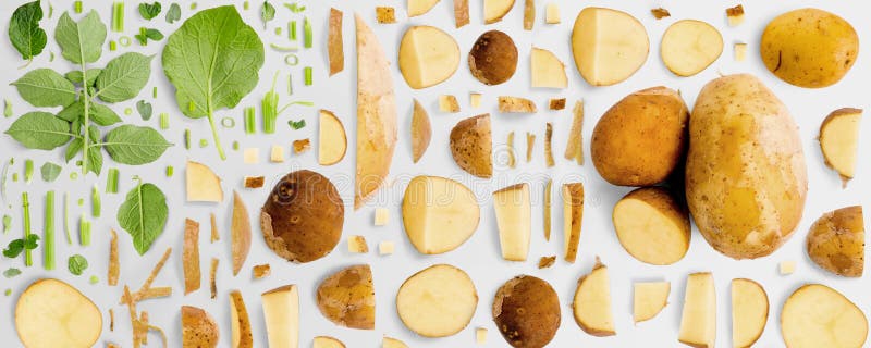 Potato Slice and Leaf Collection Stock Photo - Image of ripe, peeled ...