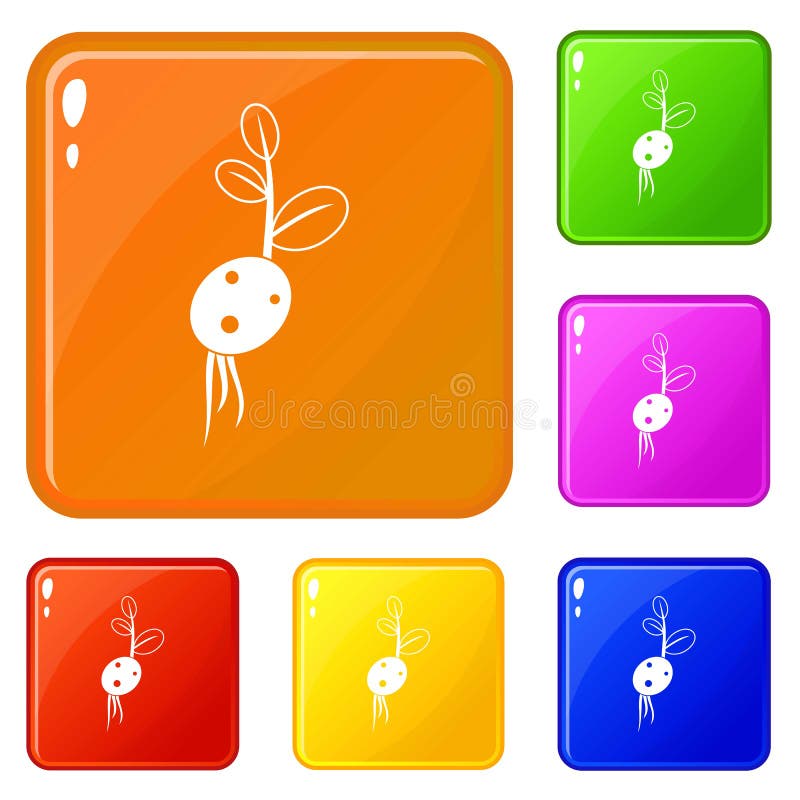 Potato Sprout Root Stock Illustrations – 111 Potato Sprout Root Stock ...