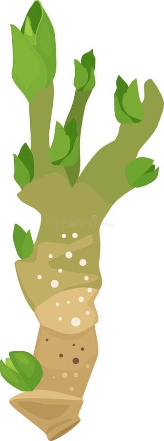 Potato Sprout from the Root Icons Set Vector Color Stock Vector ...