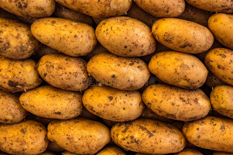 Potato Stack stock image. Image of sali, turkey, potato - 98170049