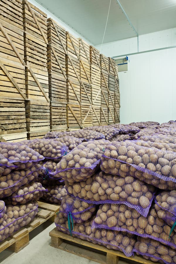 Potato Storage Warehouses stock photo. Image of potato - 2553292
