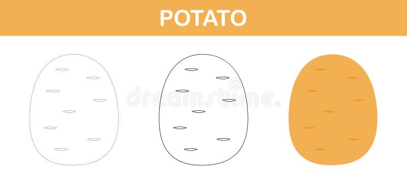 Potato Tracing and Coloring Worksheet for Kids Stock Vector ...