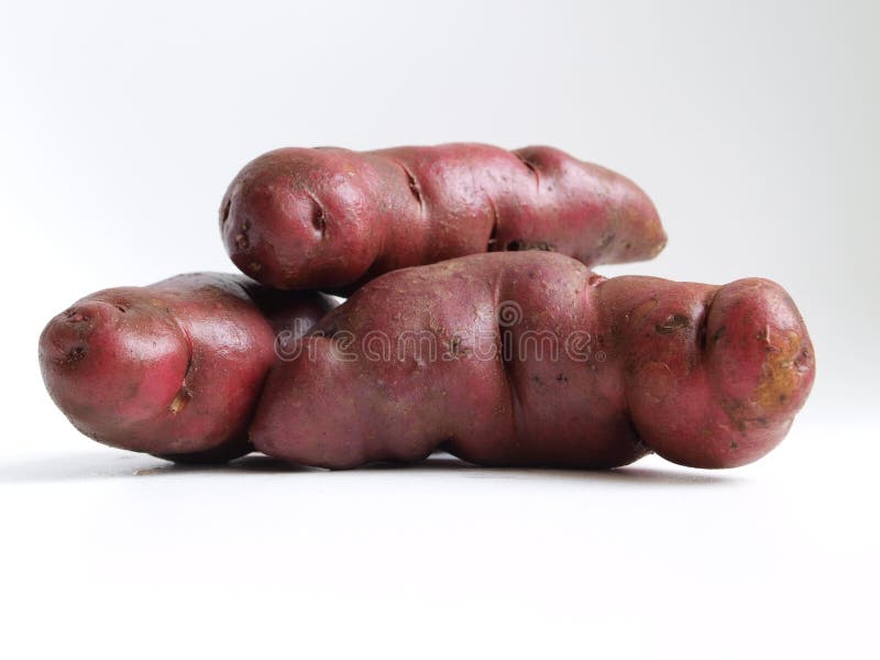 298 Inca Potato Stock Photos - Free & Royalty-Free Stock Photos from ...