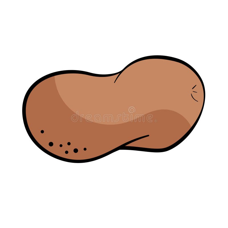 Potato Vector Graphic stock vector. Illustration of starch - 303665153