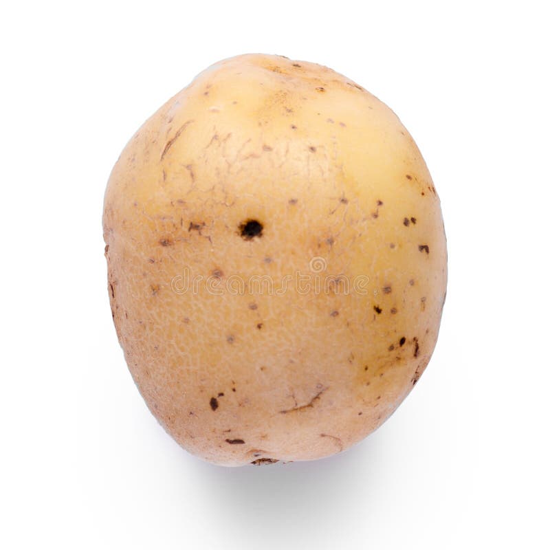 Potato vegetable stock image. Image of single, nutrition - 110159655