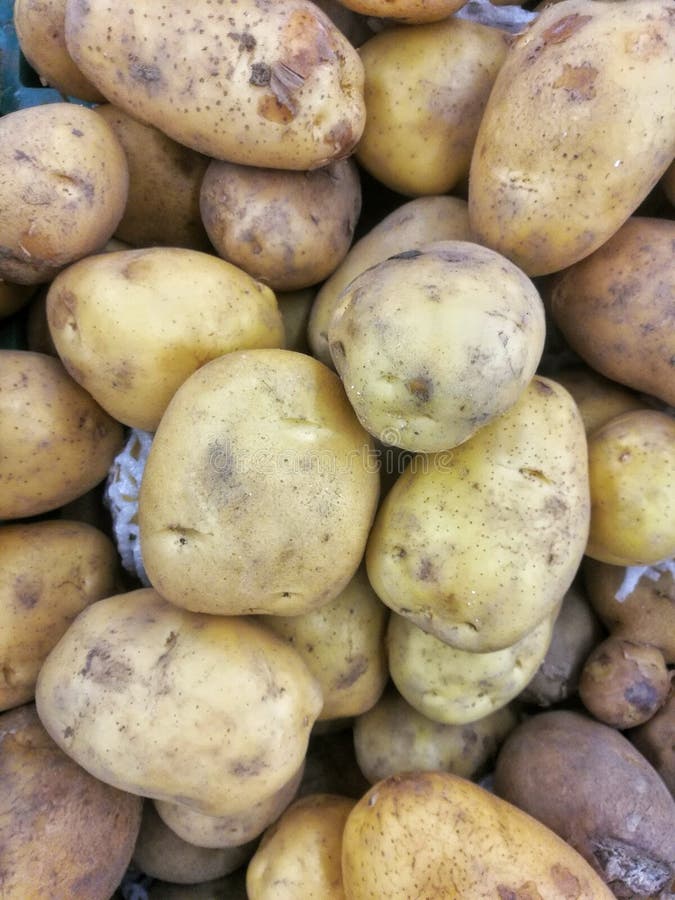 The Potato Wallpaper. the Potato Background Stock Photo - Image of ...