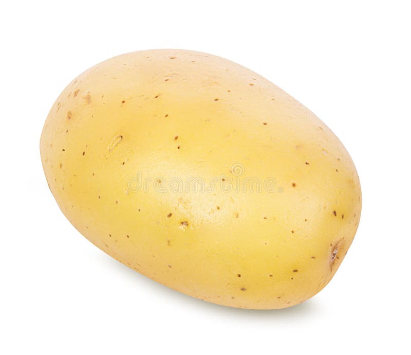 Potato on white stock photo. Image of nutrition, nature - 92849122