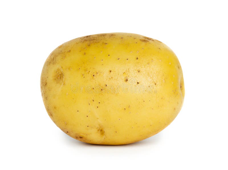 Potato on white stock image. Image of earth, halved - 103782597
