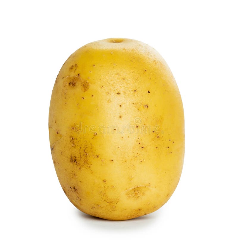 Potato on white background stock photo. Image of ingredient - 208849756