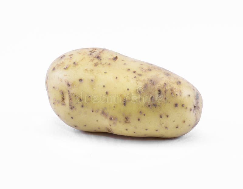 Potato on a White Background - Side View Stock Image - Image of ...