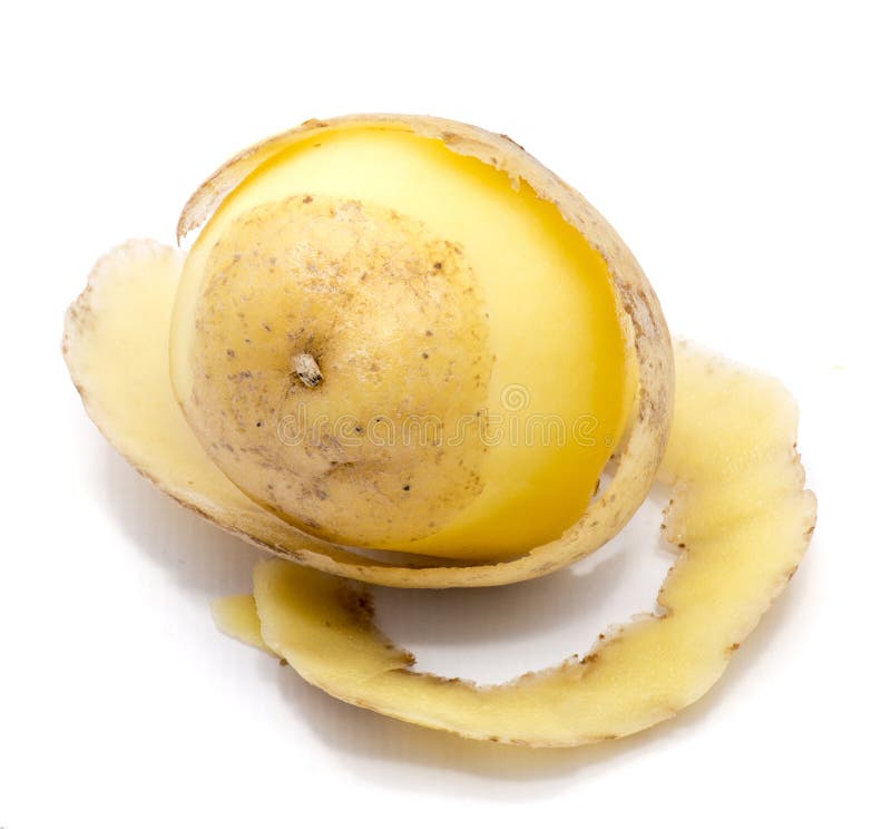 Potato on white stock image. Image of bronze, closeup - 103782601