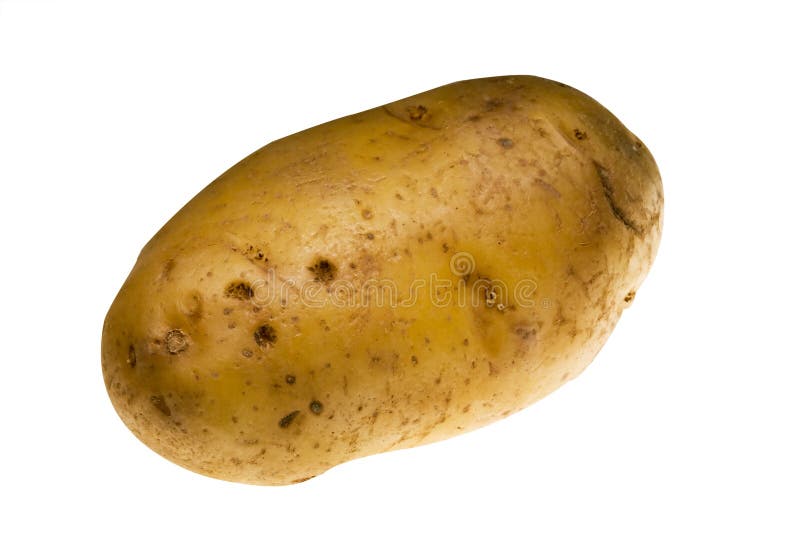 Potatoe stock photo. Image of dirt, ingredient, brown - 4507668
