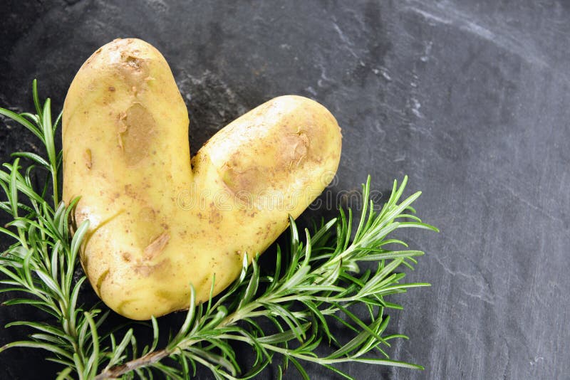 Potatoe love stock image. Image of spud, love, heart - 30448889