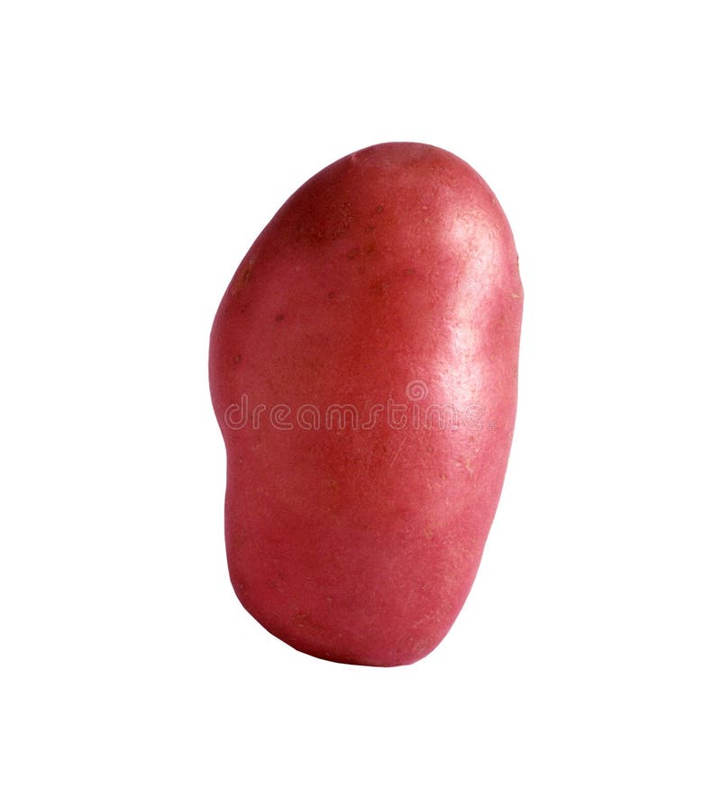 Potatoe Rojo Aislado En Blanco Imagen de archivo - Imagen de aislado ...