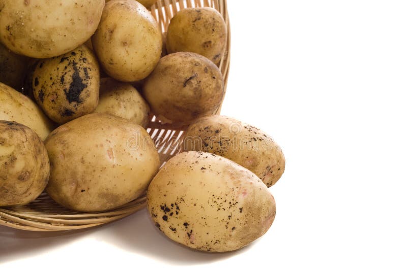 Potatoes stock image. Image of cuisine, gold, cultivated - 33186639