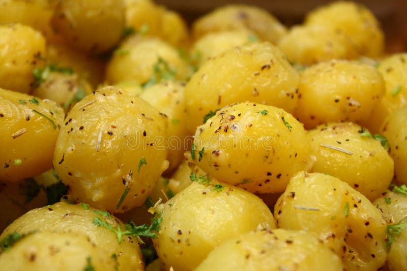 Potatoes stock photo. Image of rosemary, potato, small - 21582562