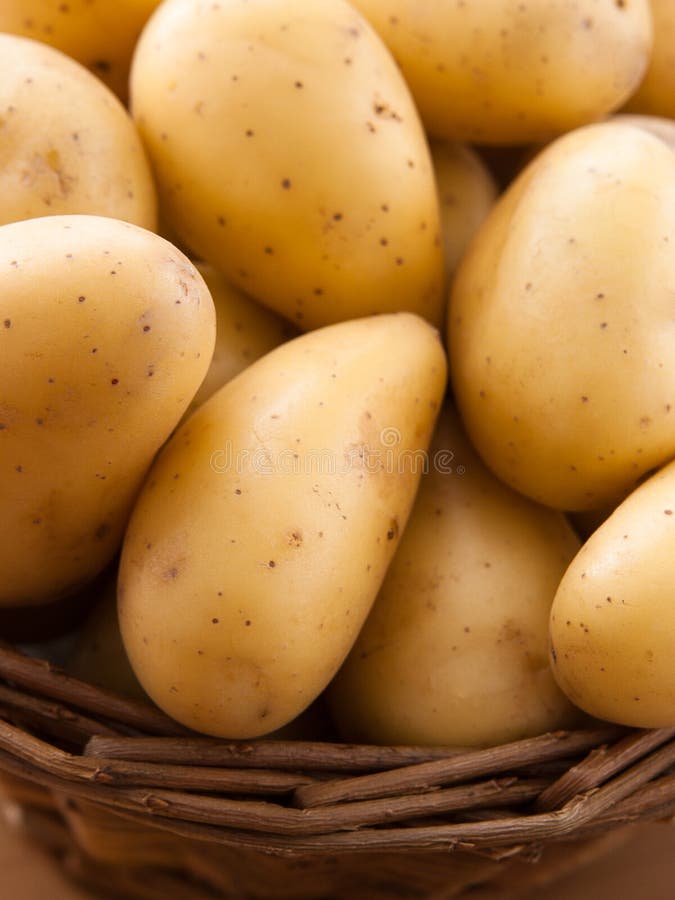 Potatoes stock image. Image of cuisine, gold, cultivated - 33186639