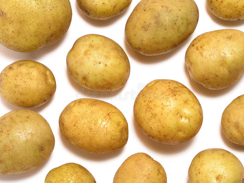 New potatoes stock image. Image of potato, nutritious - 15150403