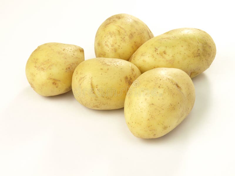 Potatoes, stock image. Image of bulb, vegetarian, vegetable - 24152739