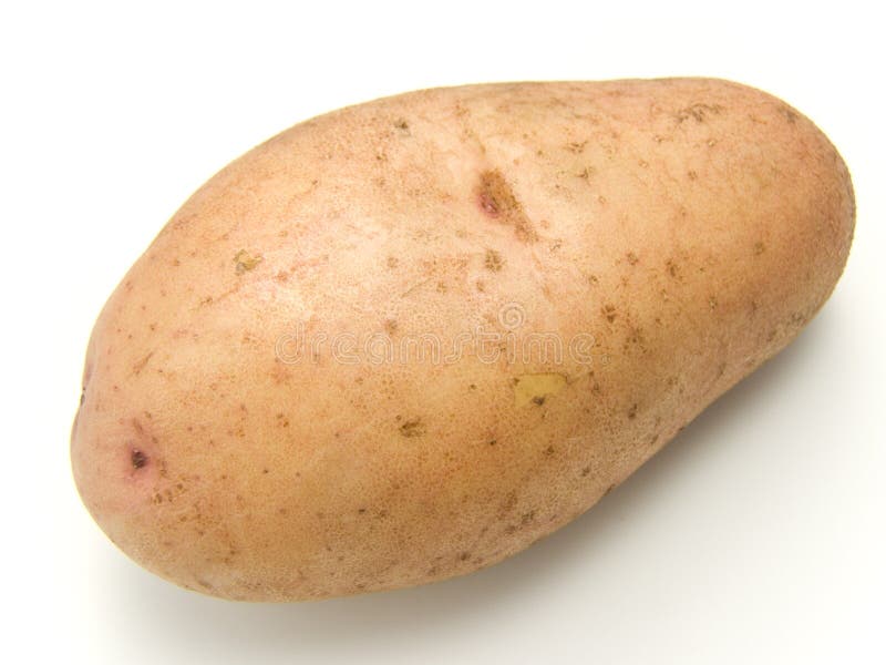 Potato stock image. Image of vegetables, large, eyes, diet - 186551