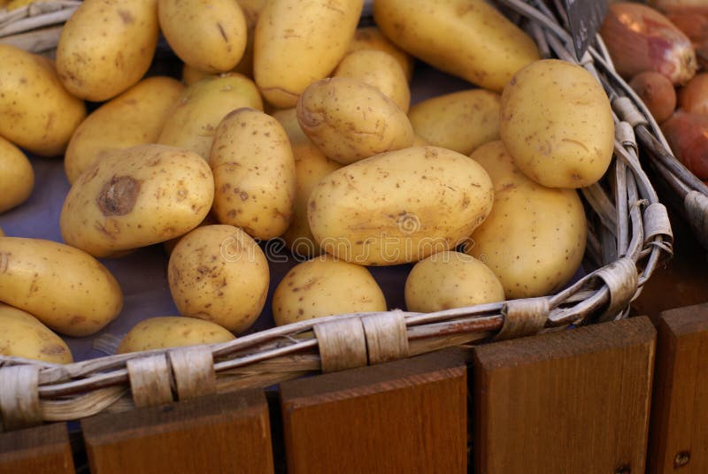 Potatoes stock photo. Image of healthy, french, france - 3682448