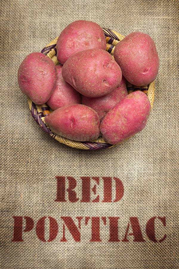Red Pontiac Potatoes Stock Photos - Free & Royalty-Free Stock Photos ...