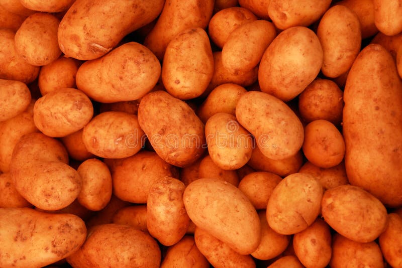 Paper Origami stock image. Image of friendship, origami - 791027