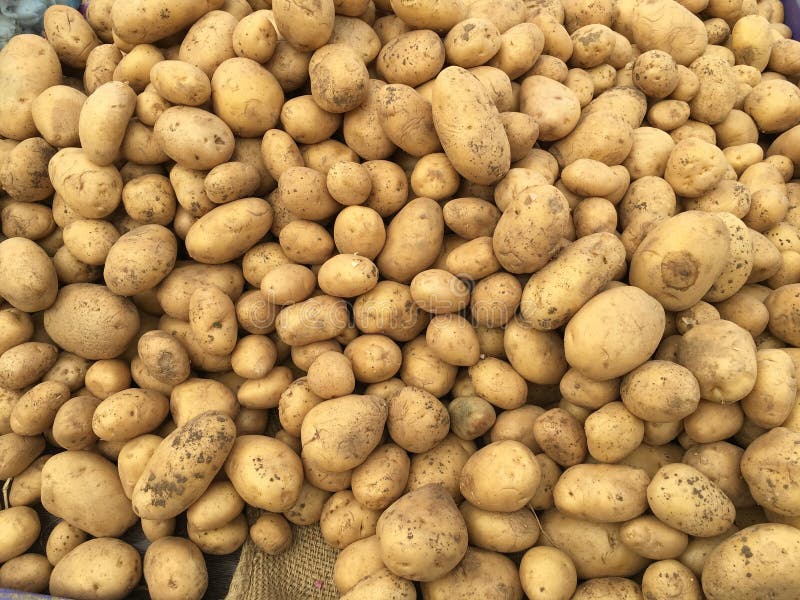 Potatoes for Background or Food Stock Image - Image of abstract, potato ...