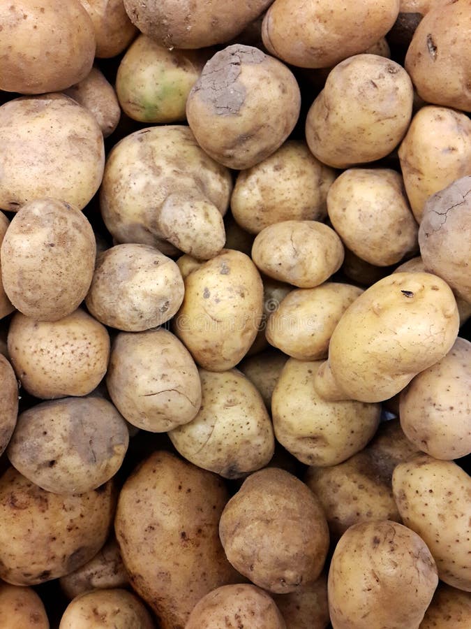 Potatoes Background stock image. Image of fresh, garden - 94200445