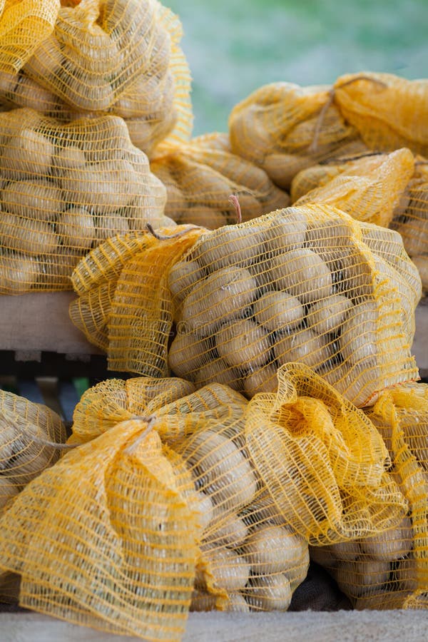 Potatoes stock image. Image of pile, vegetable, potato - 78722343