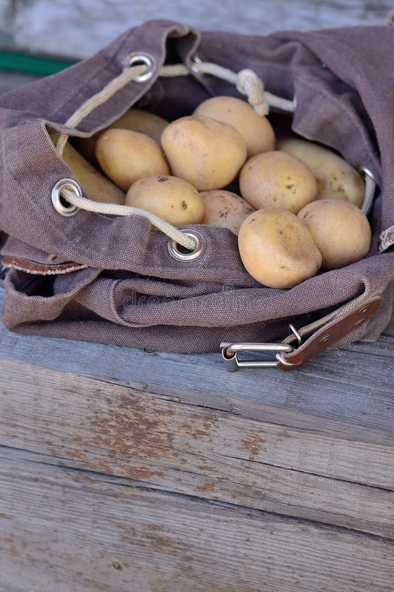 Potatoes in backpack stock image. Image of bundle, carbohydrate - 39948417
