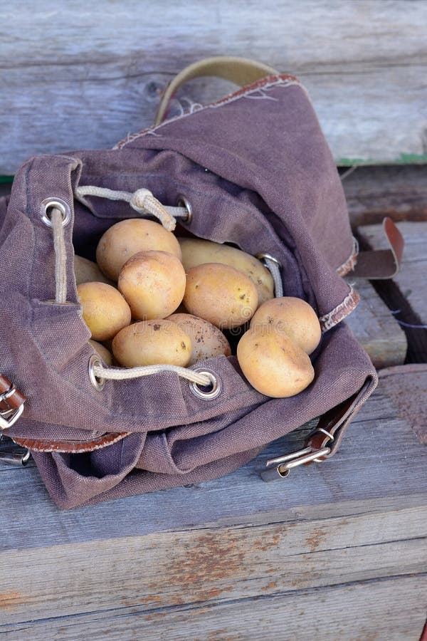Potatoes in backpack stock image. Image of rustic, arrangement - 39948429