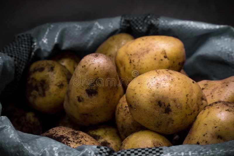 Potatoes in a bag stock photo. Image of diet, single - 88839736