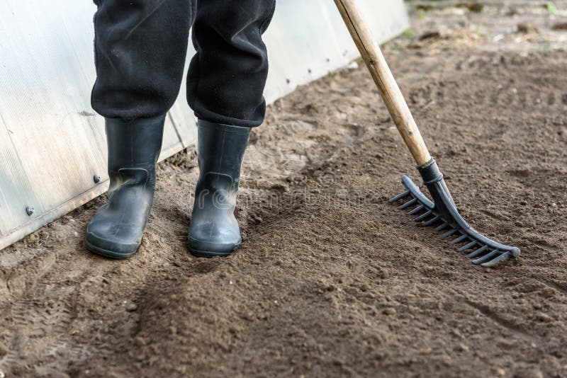 Potatoes in a Bag is Lying on the Ground. Preparation for Planting ...