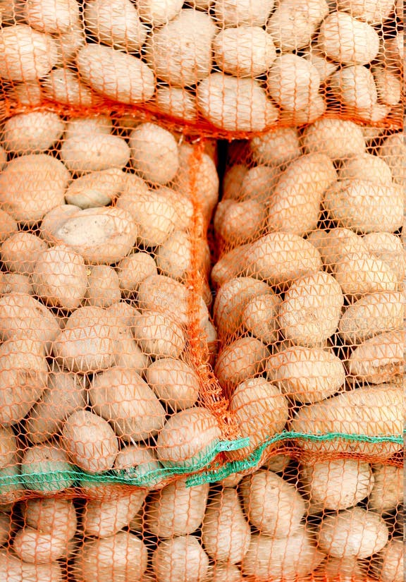 Potatoes bags stock image. Image of fresh, closeup, industrial - 21715205