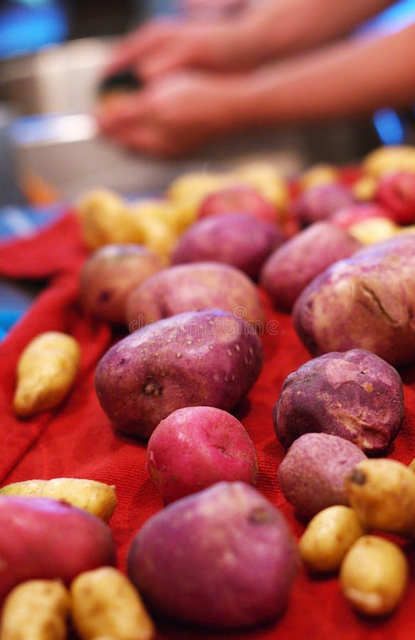 Potatoes being washed stock image. Image of brown, natural - 99633623