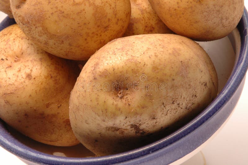 Potatoes in Bowl 3 Horizontal Stock Photo - Image of crop, circle: 269592