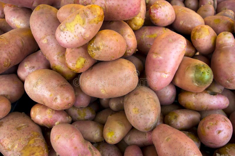 433 Rotten Potatoes Photos - Free & Royalty-Free Stock Photos from ...
