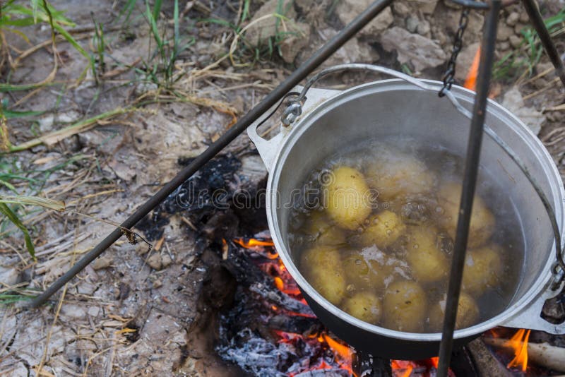 Potatoes are Cooked in a Cauldron Over a Fire in the Camp at Sunset ...